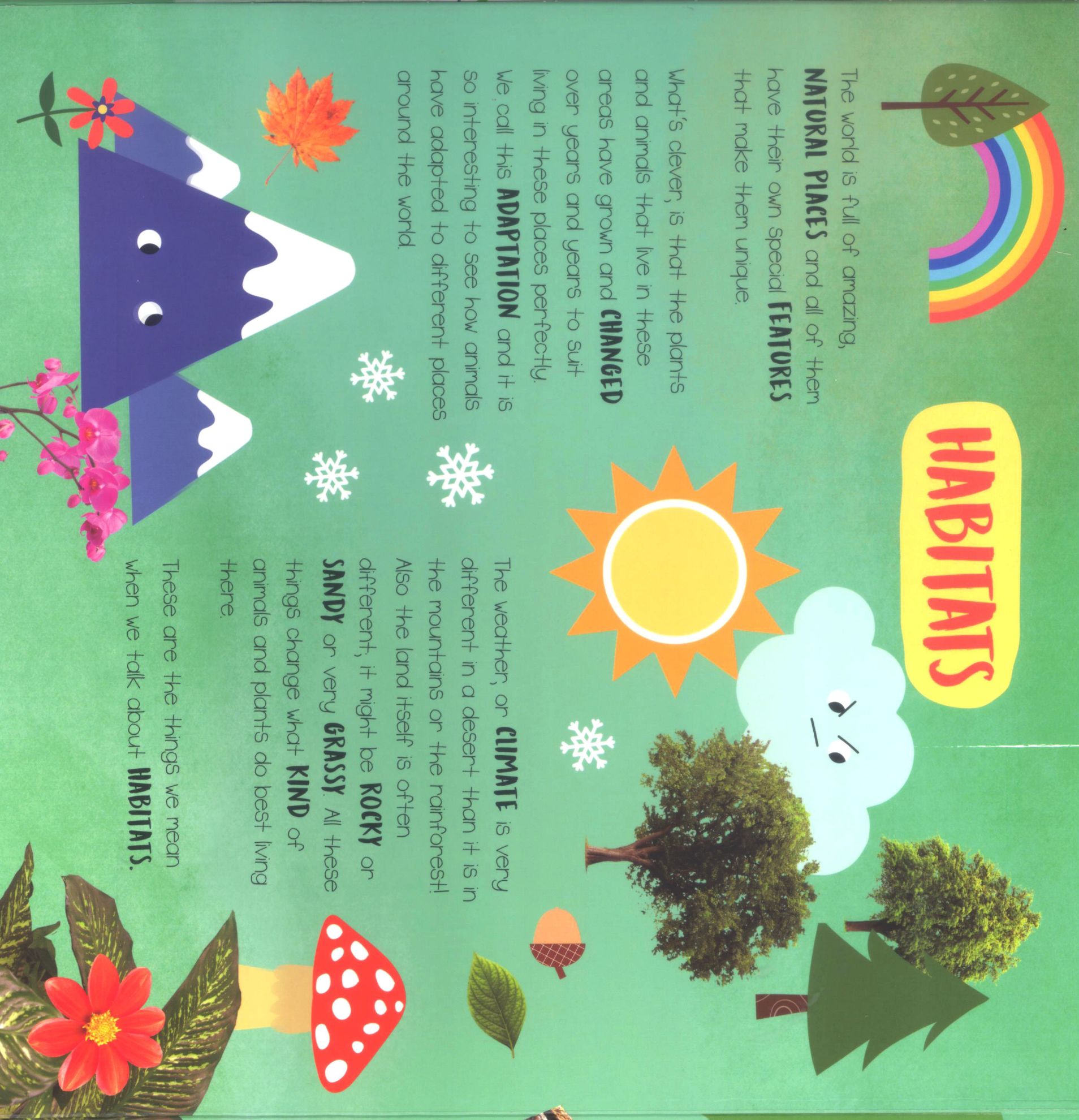 Learning is Fun. LITTLE WONDERS MEGA FLAP FACT BOOK-HABITATS