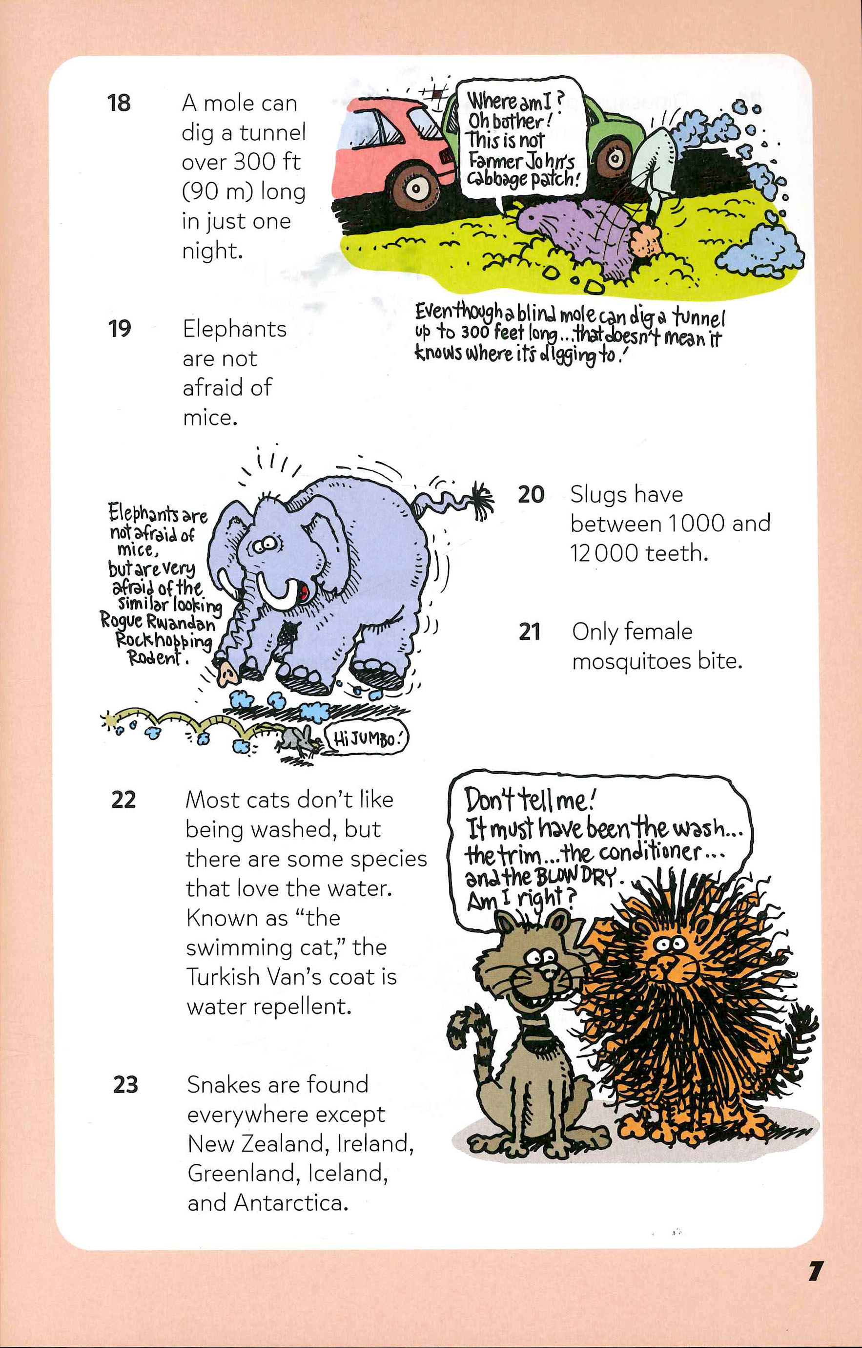 Learning is Fun. HINKLER EXPLORE-1001 COOL FREAKY FACTS