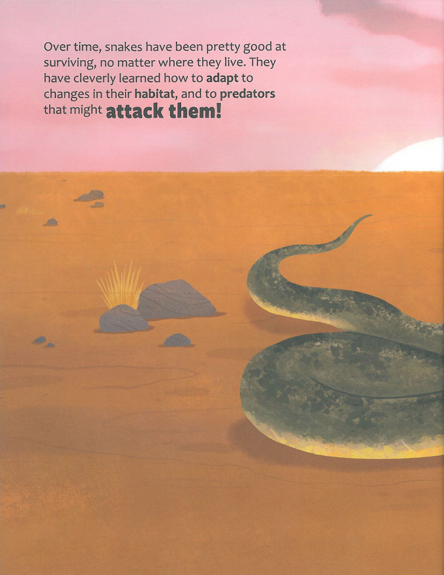 Learning is Fun. THE BIG QUESTIONS ANSWERED-CAN SNAKES PREDICT EARTHQUAKES